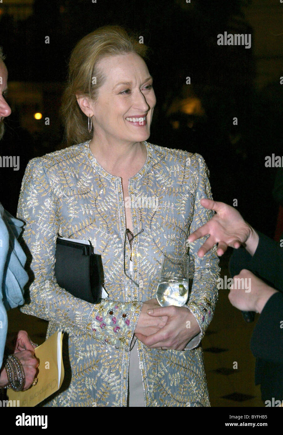 Meryl Streep appeared as ICRW's 'Champions For Change' 2007 awards gala ...