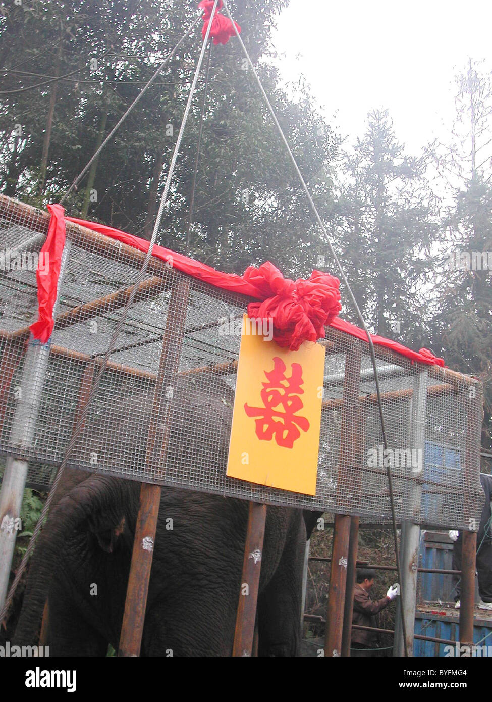ELEPHANT HONEYMOON SUITE This cage is actually a bridal chamber - for ...
