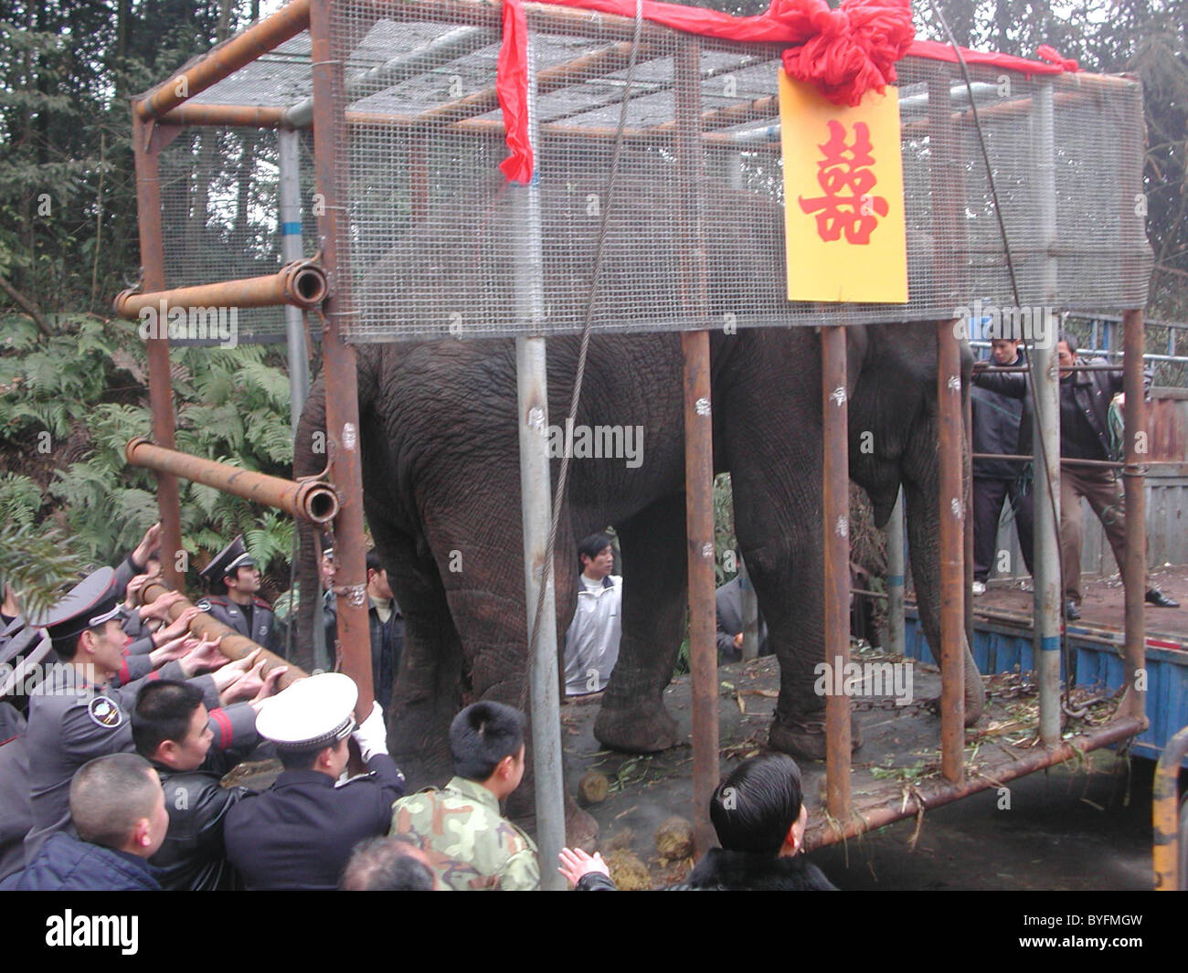 ELEPHANT HONEYMOON SUITE This cage is actually a bridal chamber - for ...