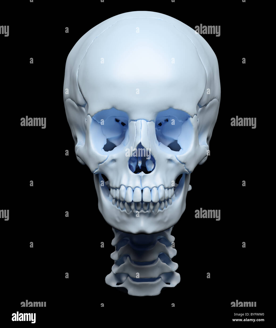 Jaw fracture hi-res stock photography and images - Alamy