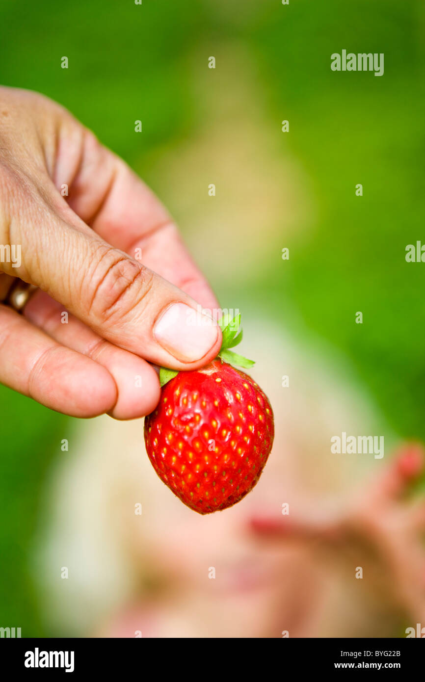 Close-up of strawberry Stock Photo - Alamy