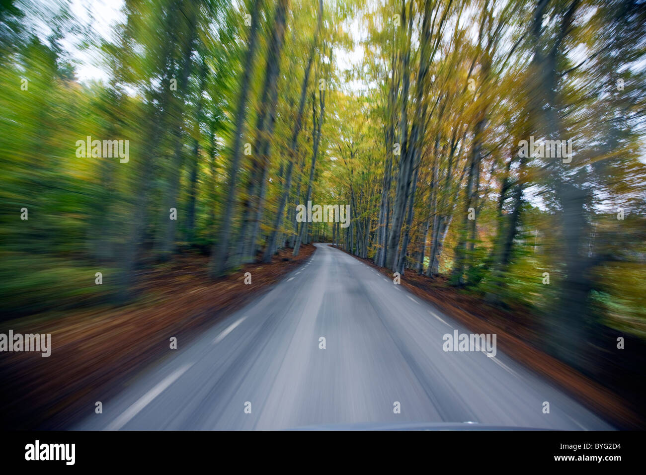 Stressed stress trees hi-res stock photography and images - Alamy