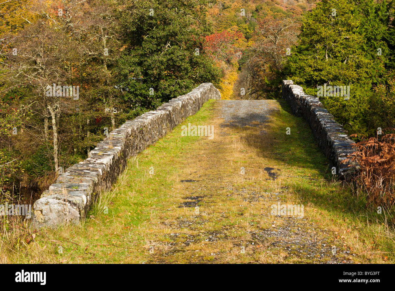 The old bridge over the River Moidart in kinlochmoidart Stock Photo - Alamy