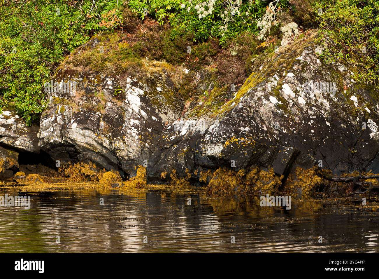 Shoreline on Loch Moidart Stock Photo - Alamy