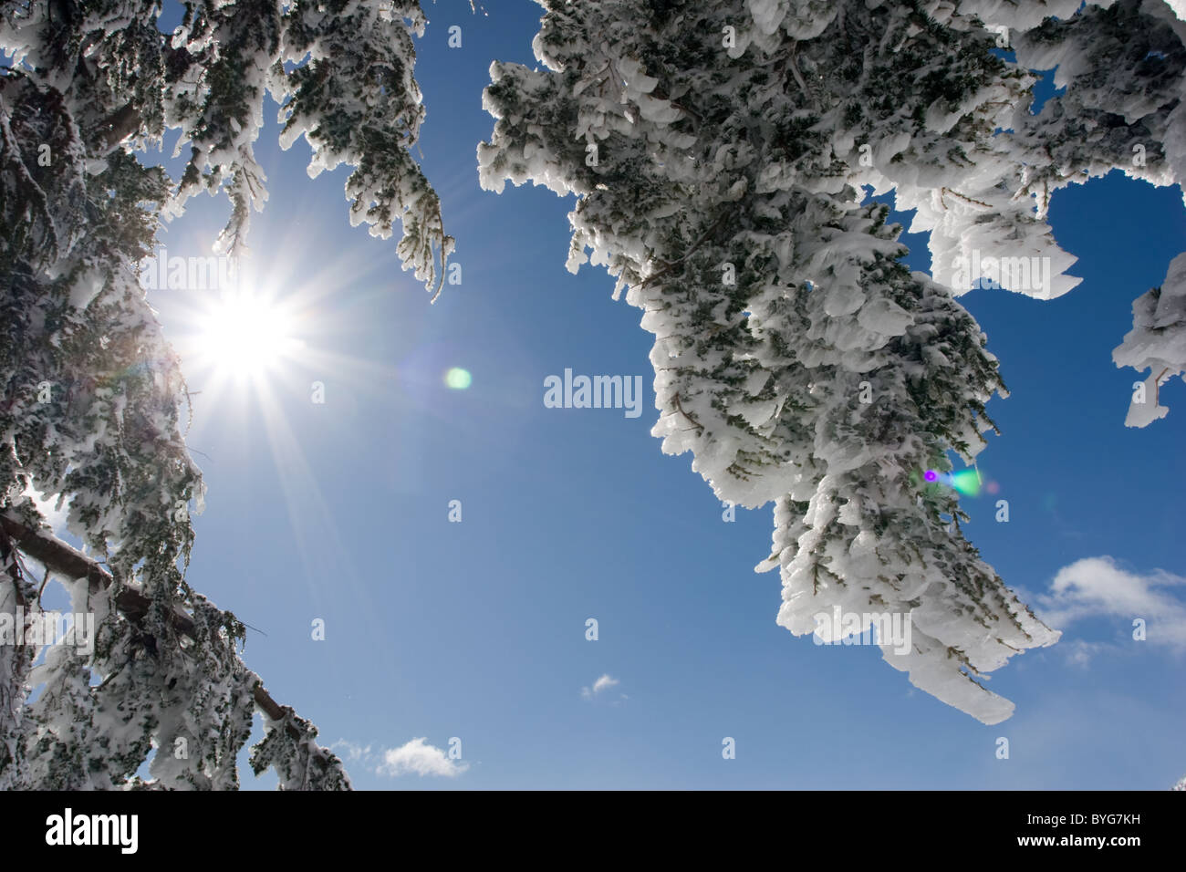 Ice and sun Stock Photo - Alamy