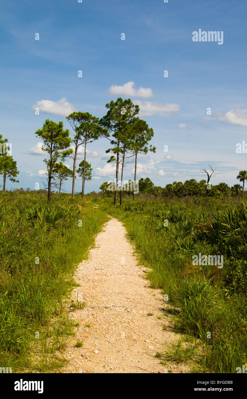 Florida nature trail hi-res stock photography and images - Alamy