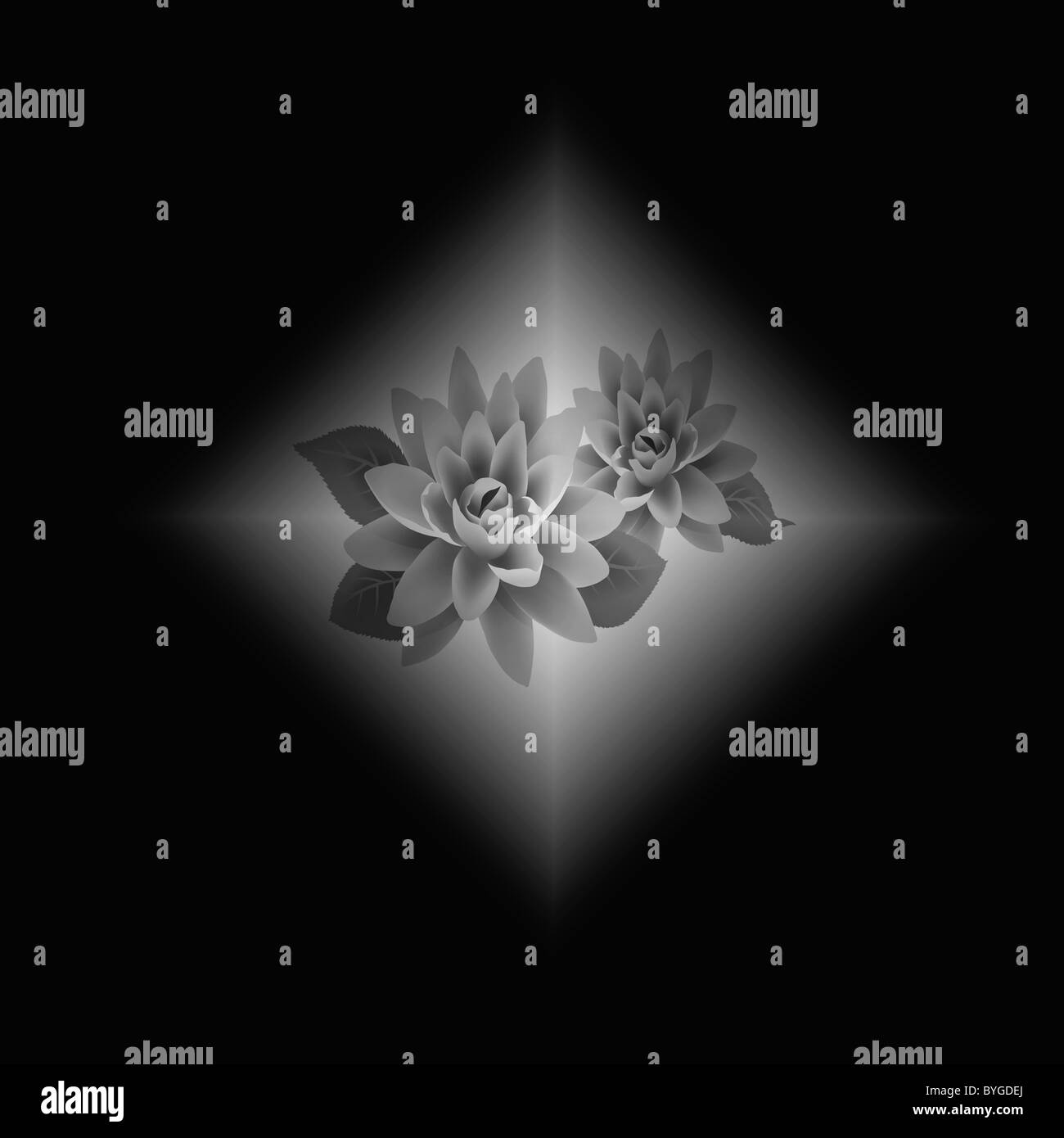 Vibrant colorful background dynamic light Black and White Stock Photos ...