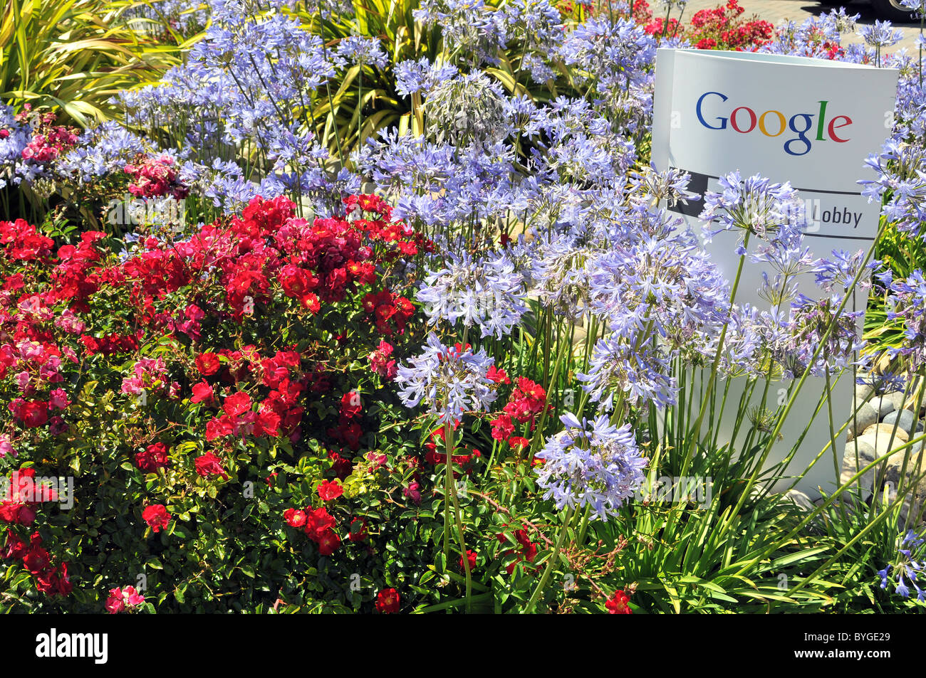 Google headquarters sign mountain view High Resolution Stock ...