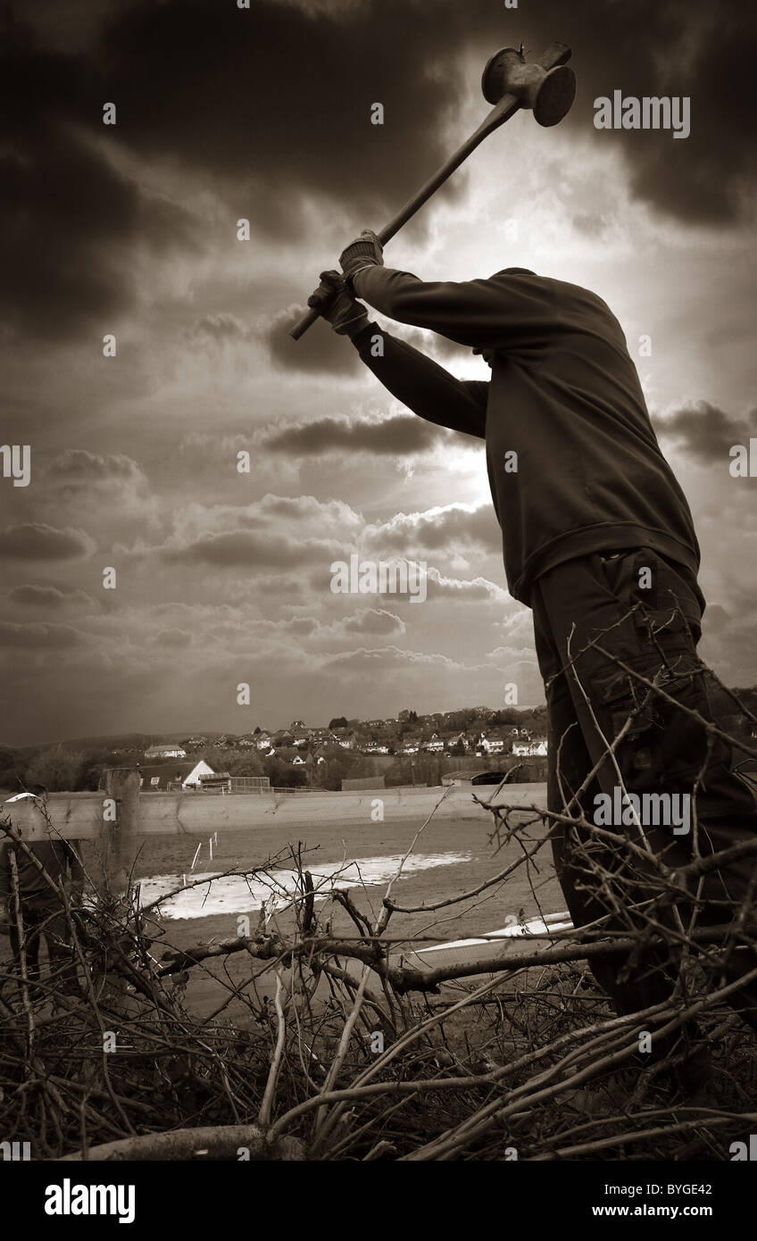 Man and hammer and silhouette hi-res stock photography and images - Alamy