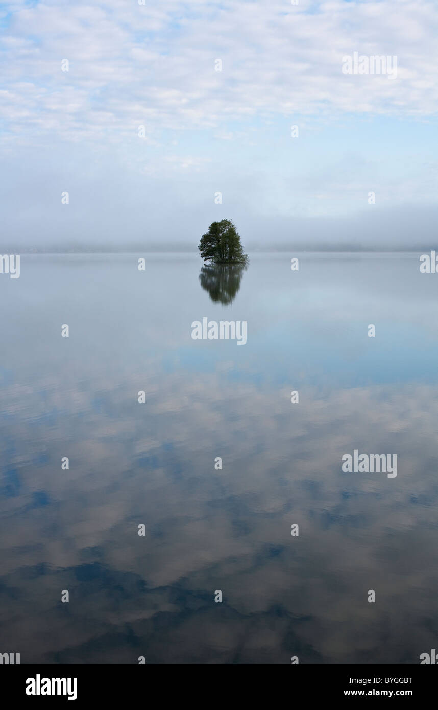 Tree and scenic water hi-res stock photography and images - Alamy