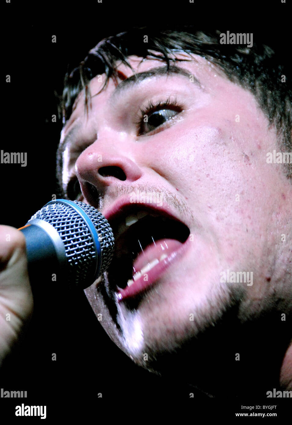 Matt Willis King of the jungle winner of 'I'm a Celebrity, Get Me Out ...