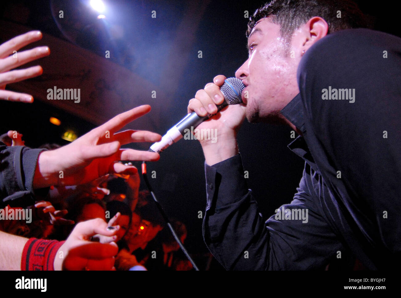 Matt Willis King of the jungle winner of 'I'm a Celebrity, Get Me Out ...