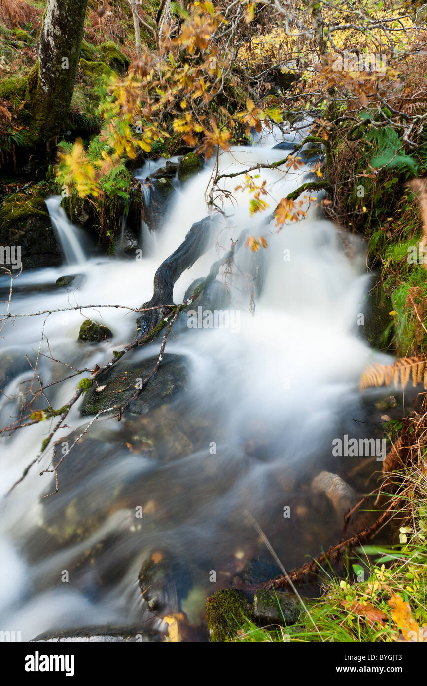 Tumbling waterfall flowing through rich autumn colours in the ancient ...