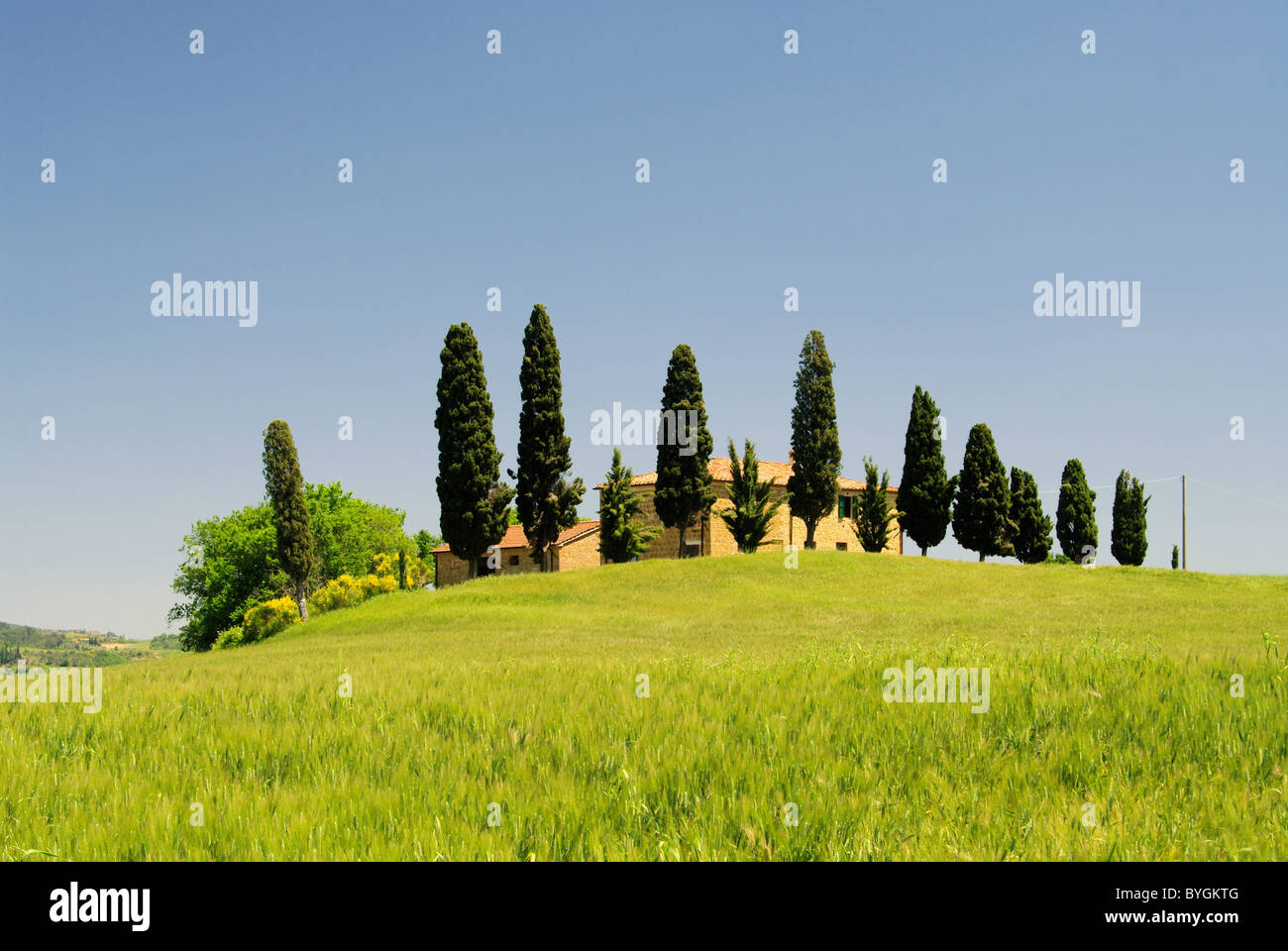 Grass 03 hi-res stock photography and images - Alamy