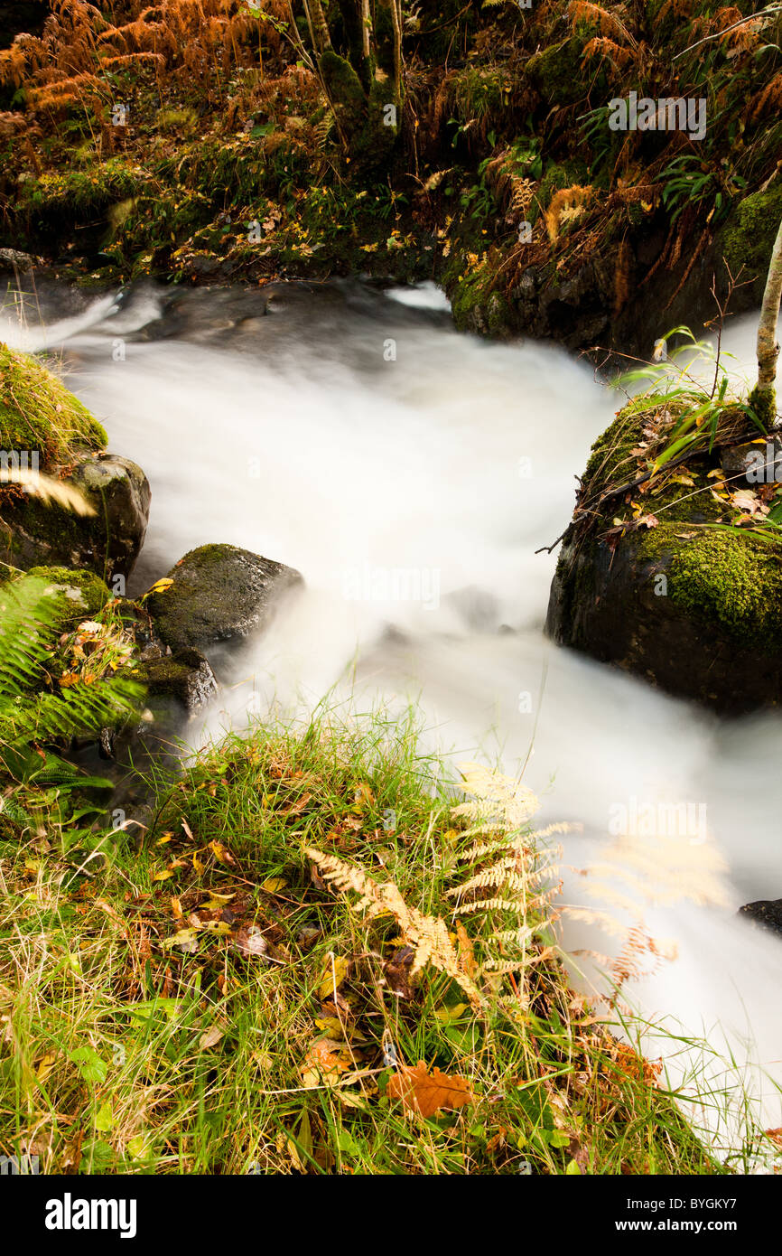 Tumbling waterfall flowing through rich autumn colours in the ancient ...