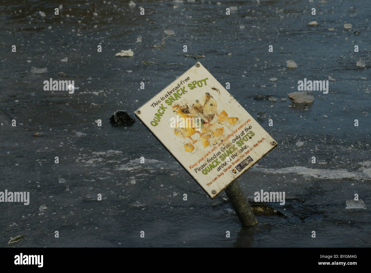 Verulam Park in St. Albans, Hertfordshire Stock Photo - Alamy