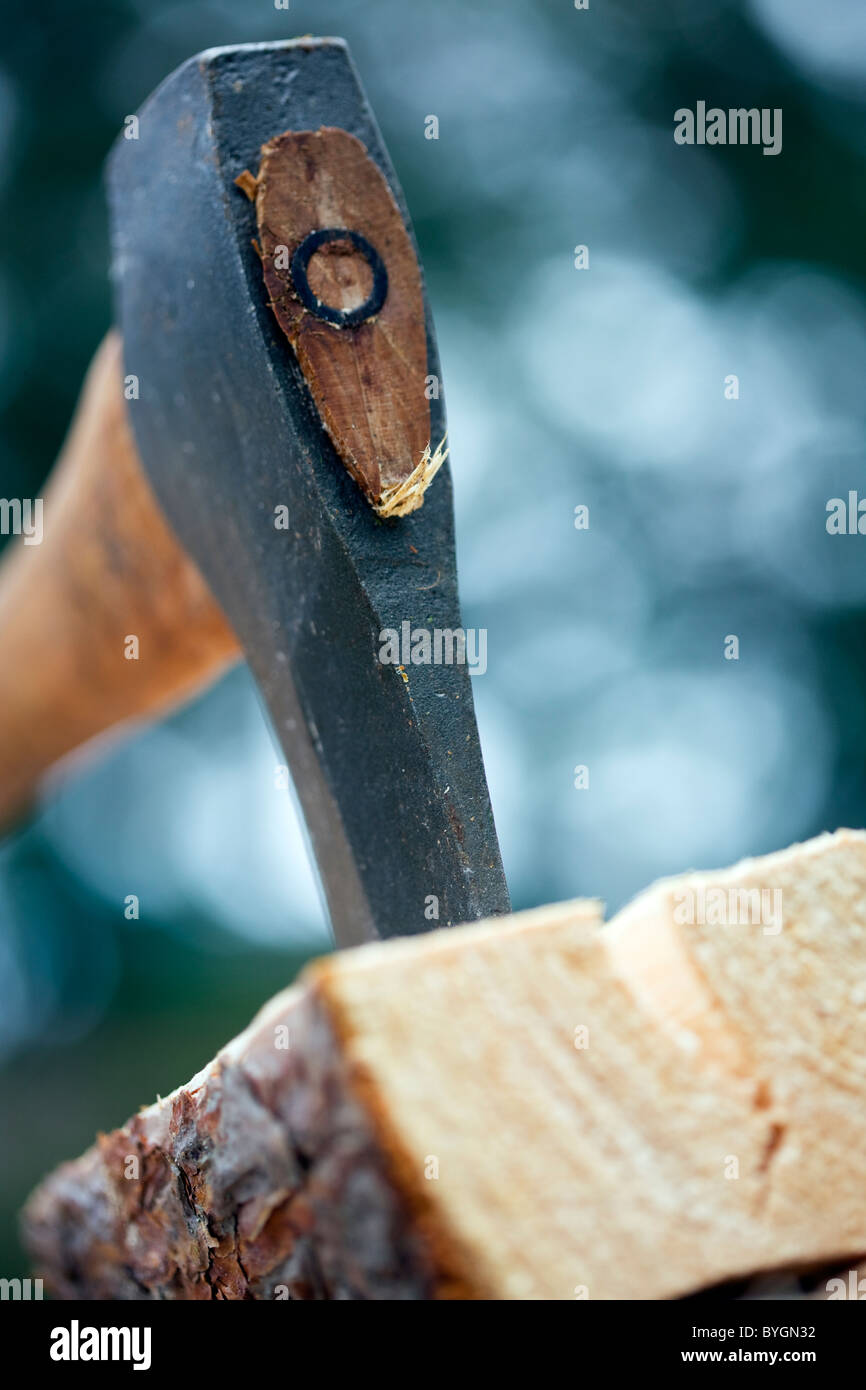 Axe in wood Stock Photo - Alamy