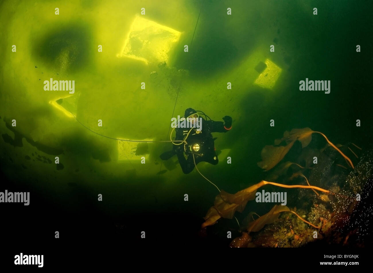 Ice diving hi-res stock photography and images - Alamy