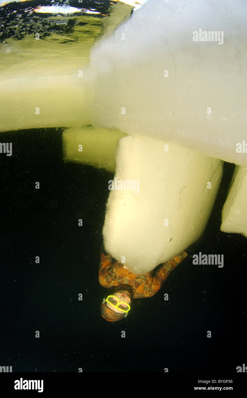 Ice Freediving High Resolution Stock Photography and Images - Alamy