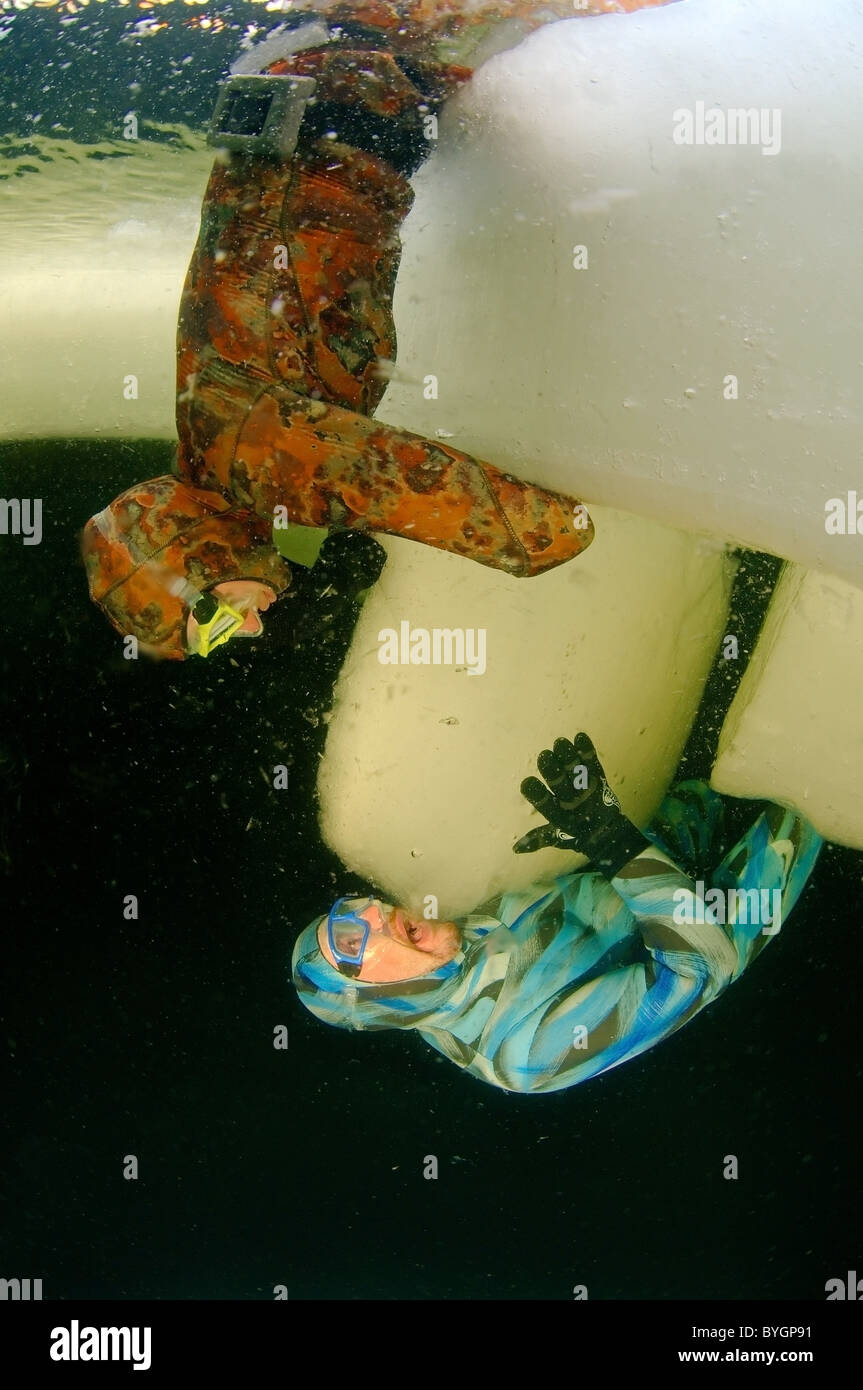 Woman diving into sea cold hi-res stock photography and images - Alamy