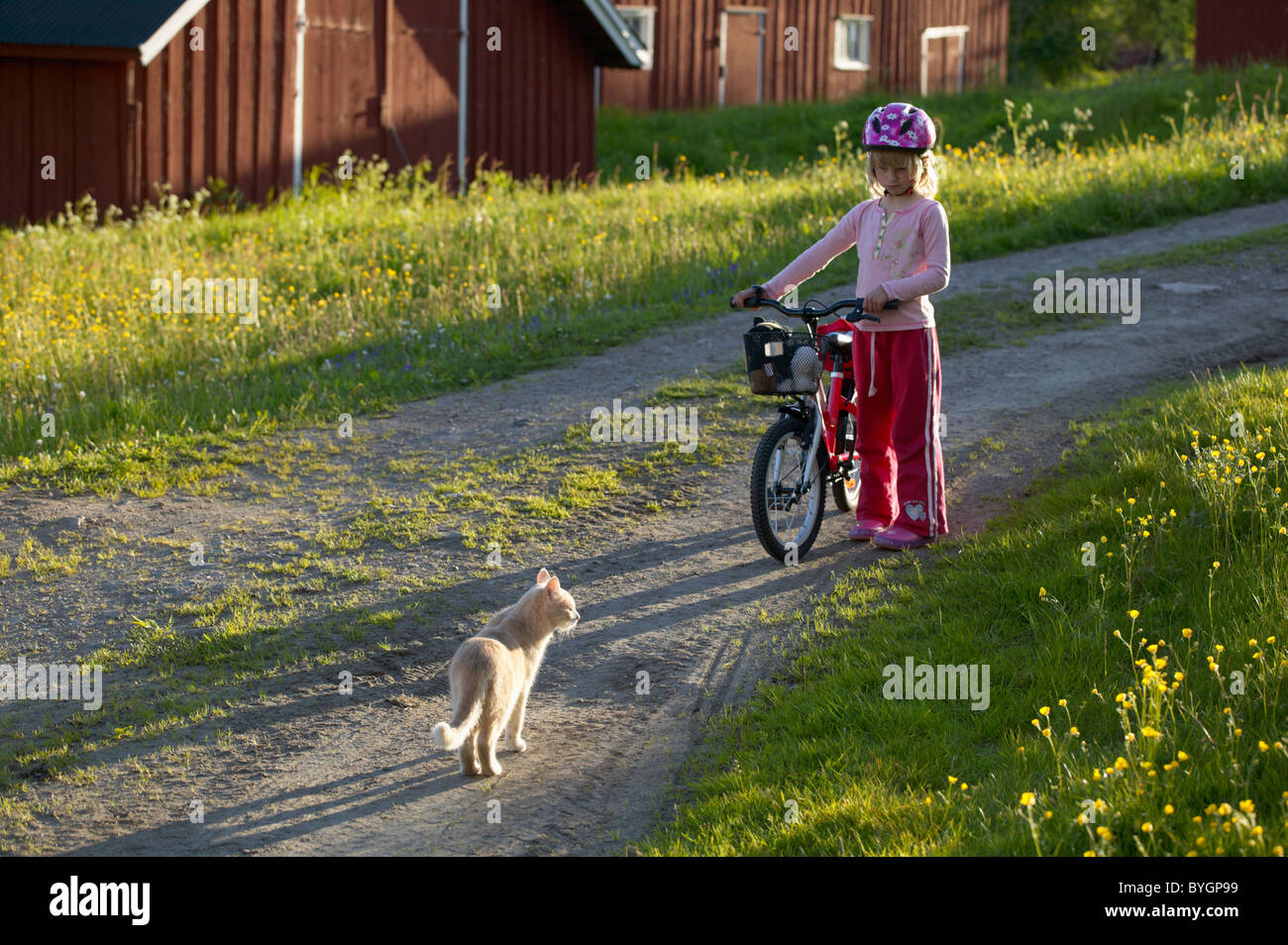 Girl with bicycle near cat in village Stock Photo - Alamy