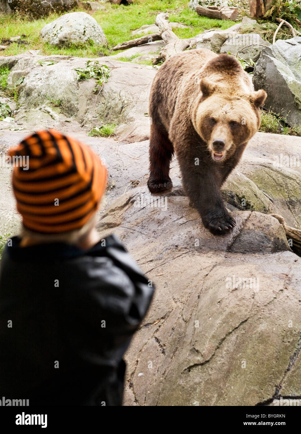 Boy at the zoo hi-res stock photography and images - Alamy