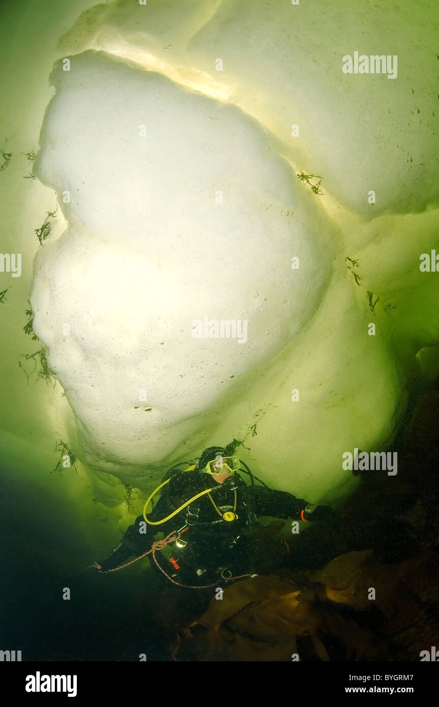 male scuba diver swim under ice Stock Photo - Alamy