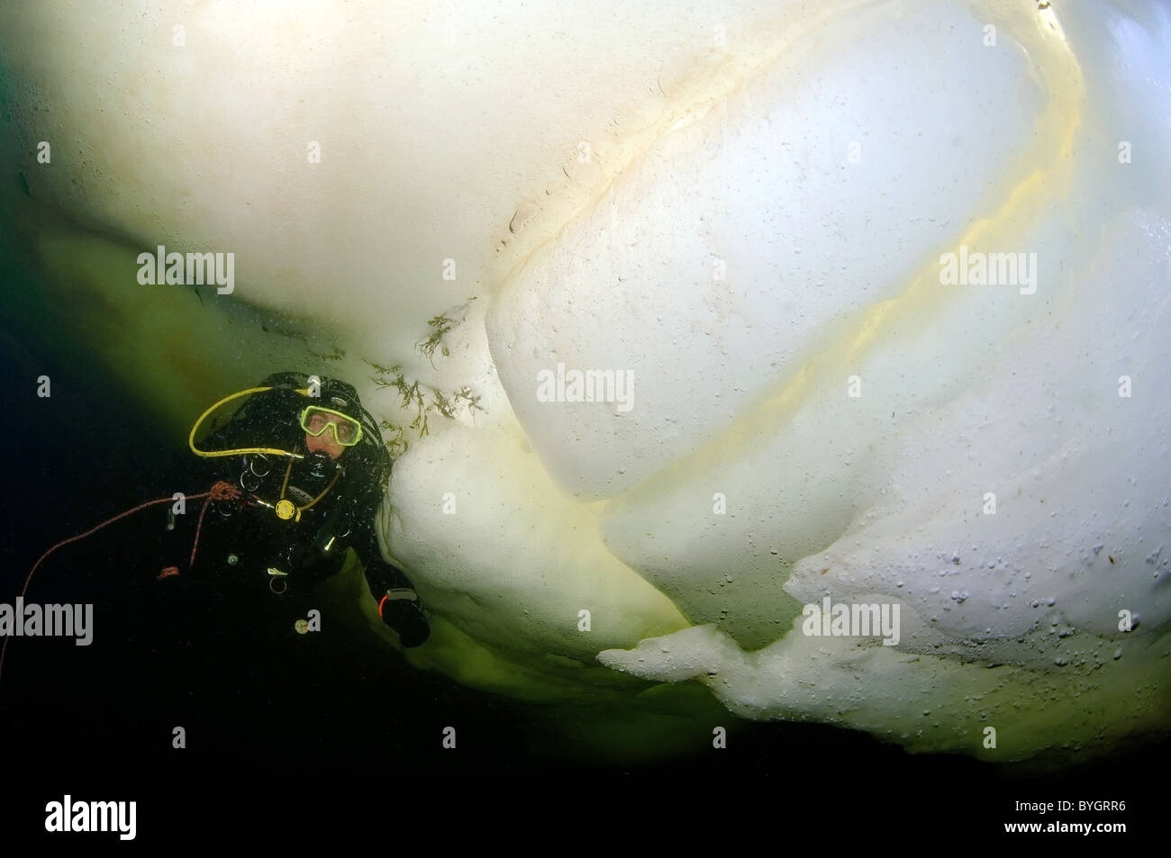 Under sea ice hi-res stock photography and images - Alamy