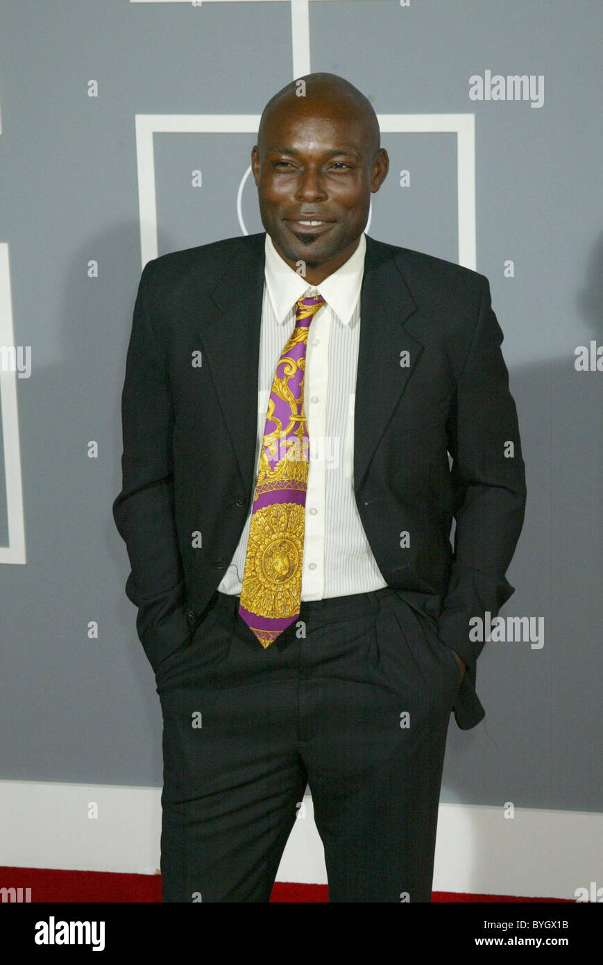 Jimmy Jean Louis The 49th Annual Grammy Awards, held at the Staples ...
