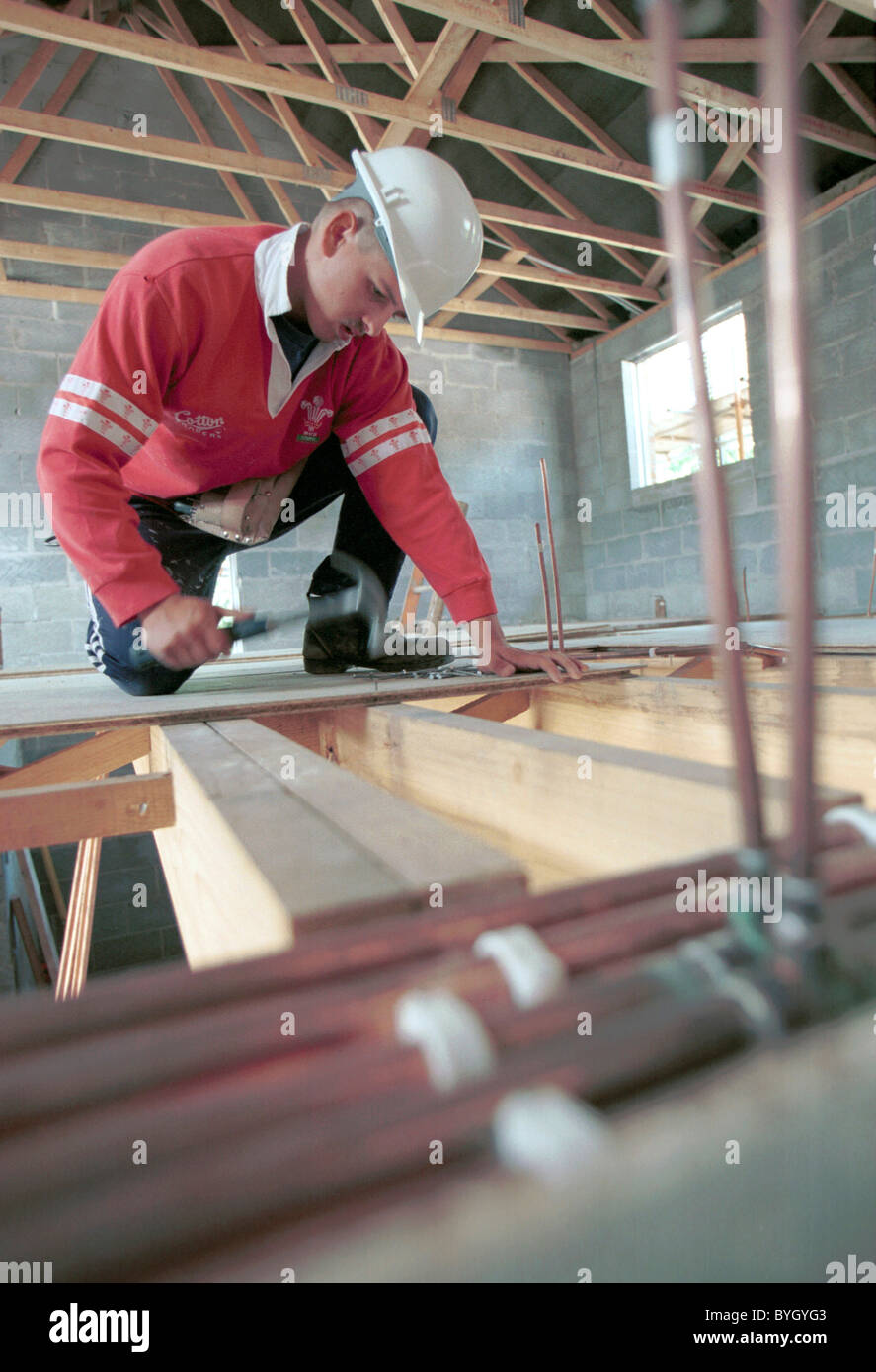 Carpentry and Joinery. Laying floor boards / sheet material Stock Photo ...