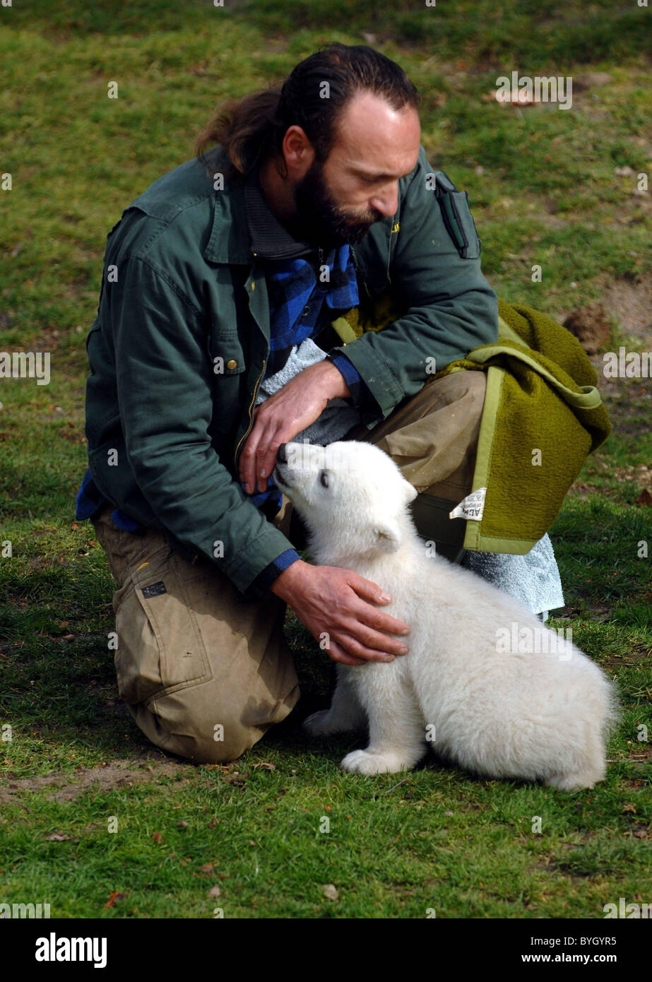 Thomas Doerflein and Knut Polar bear cub Knut is shown to the public ...