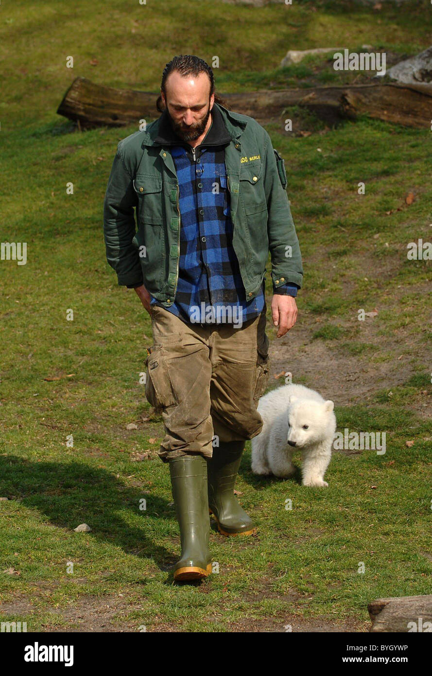 Thomas Doerflein and Knut Polar bear cub Knut is shown to the public ...