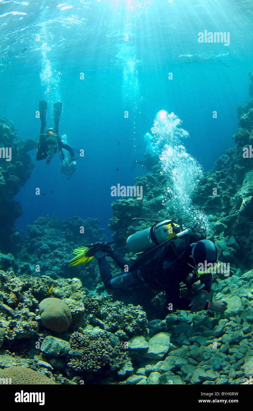 Blue hall hi-res stock photography and images - Alamy