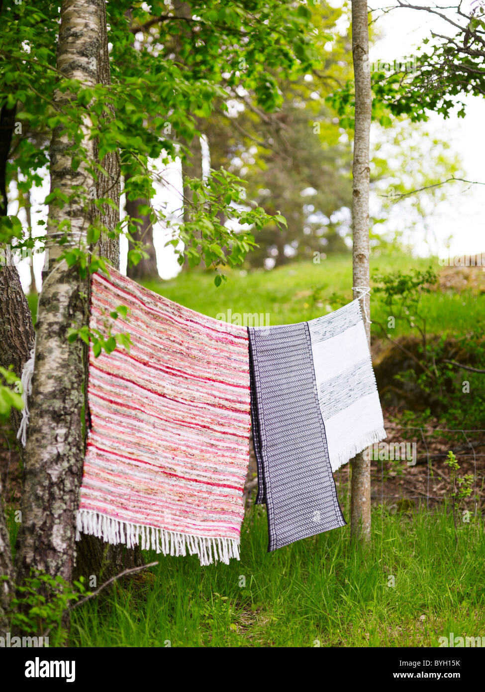 Laundry drying in backyard Stock Photo - Alamy