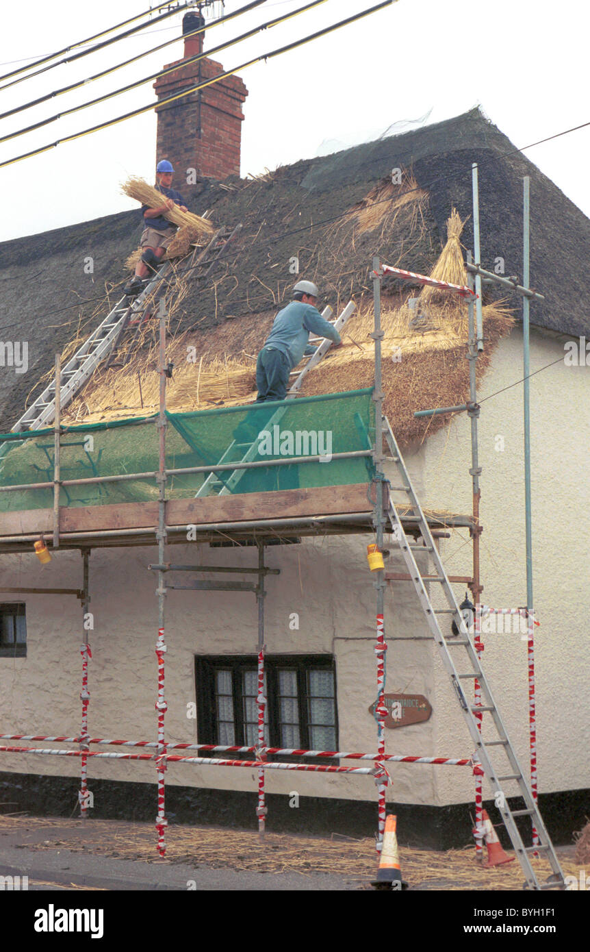 Thatching in progress on a roof of an old cottage in Somerset Stock ...