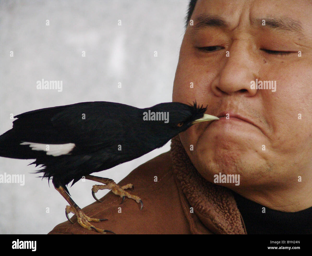 A BIRD IN THE HAND This man certainly knows how to pull the birds ...