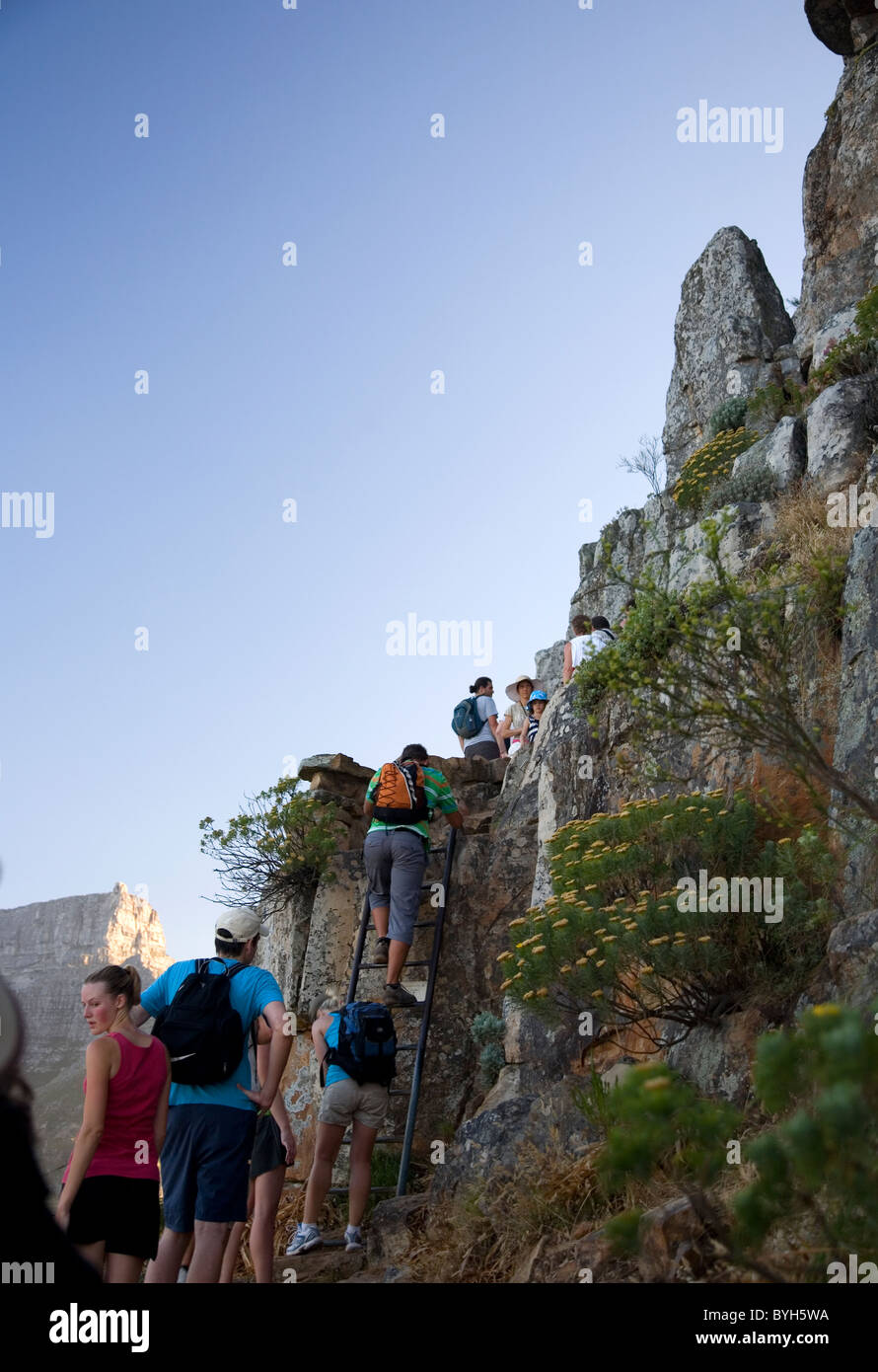 Lions head ladder hi-res stock photography and images - Alamy