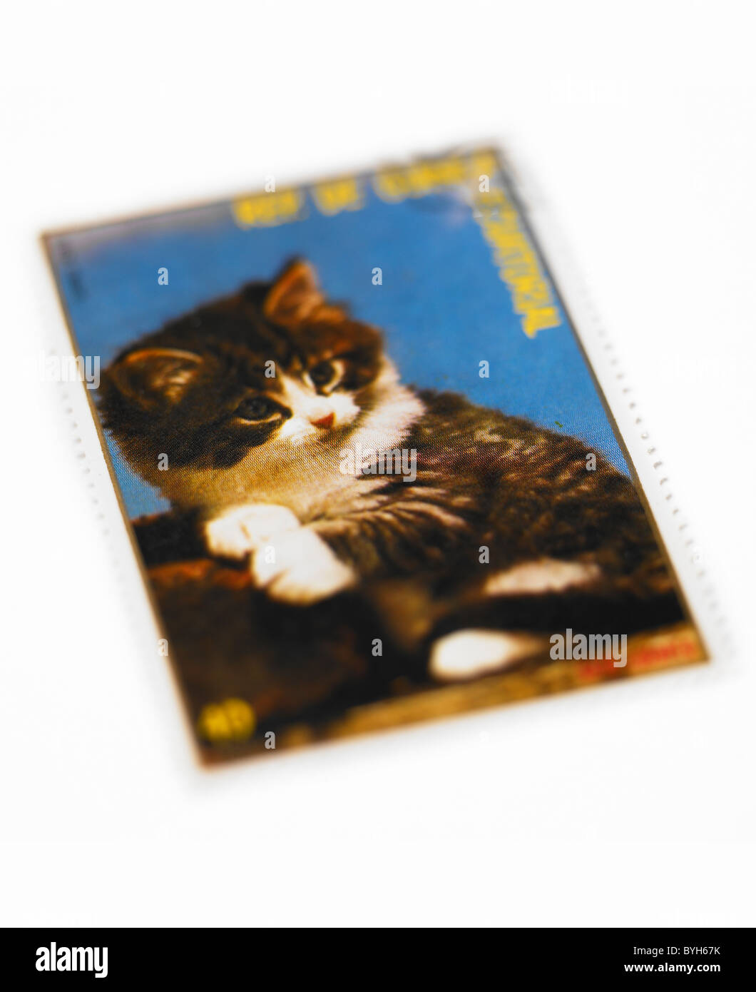 Postage Stamp with Kitten on White Background Stock Photo - Alamy