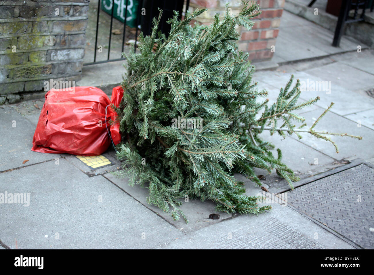Christmas tree dumped uk hi-res stock photography and images - Alamy