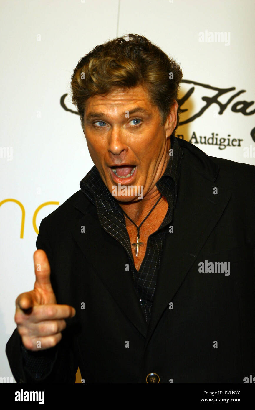 David Hasselhoff Studio 54 hosts an Ed Hardy fashion show in the MGM ...