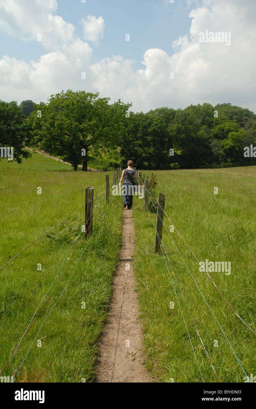 Woman walking along a path on her own through agricultural fields Stock ...