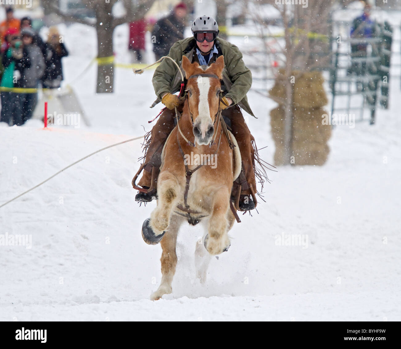 Running horse hi-res stock photography and images - Alamy