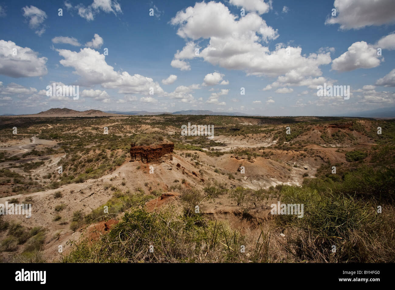 Olduvai gorge hi-res stock photography and images - Alamy