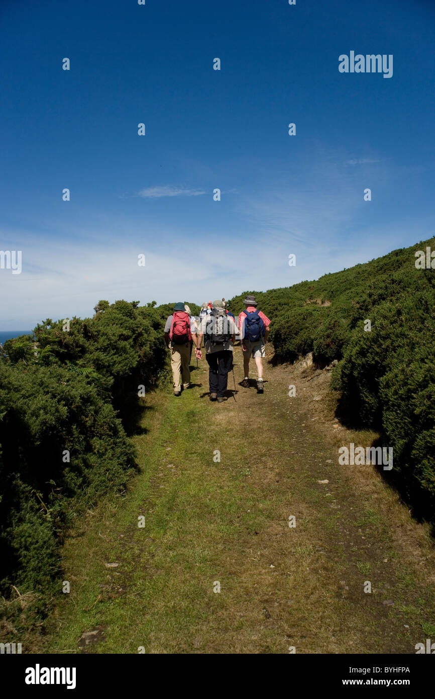 Walker hiker rambler summer hi-res stock photography and images - Alamy