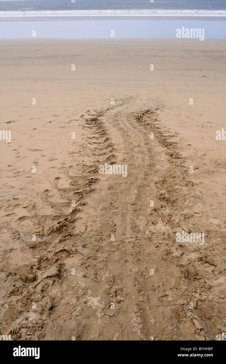 Track from a leatherback turtle on the beach Stock Photo - Alamy