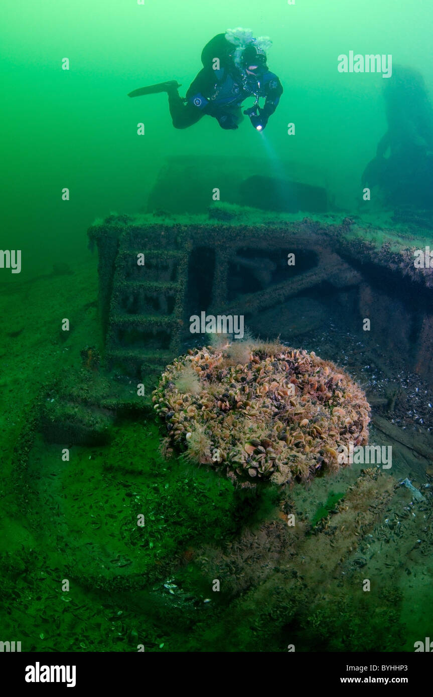 Steamship wrecks hi-res stock photography and images - Alamy