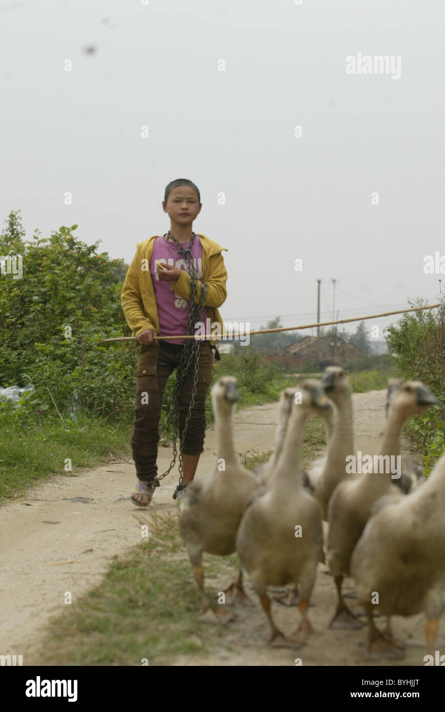 CHAIN GIRL FREED Wearing a heavy iron chain around her neck, this poor ...