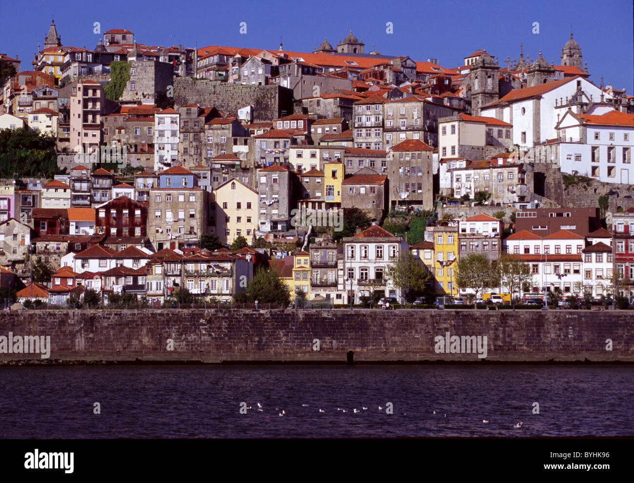 Ribeira neighbourhood hi-res stock photography and images - Alamy
