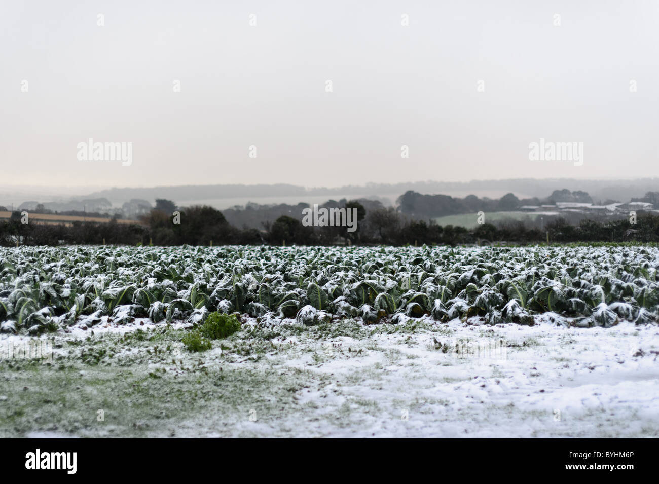 Winter storm in cornwall hi-res stock photography and images - Alamy