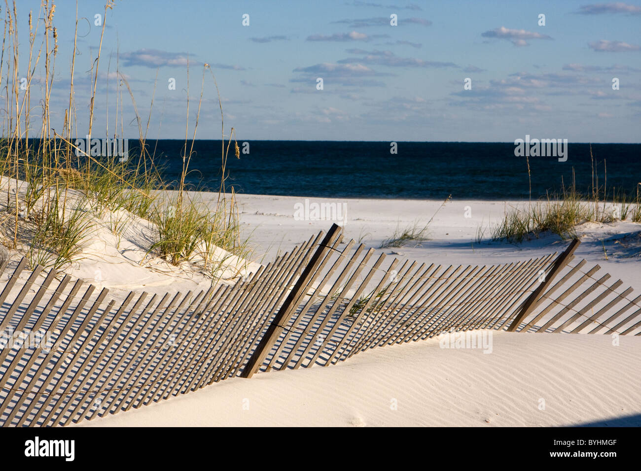 Sand fences along the coastline use the power of the wind to built up ...